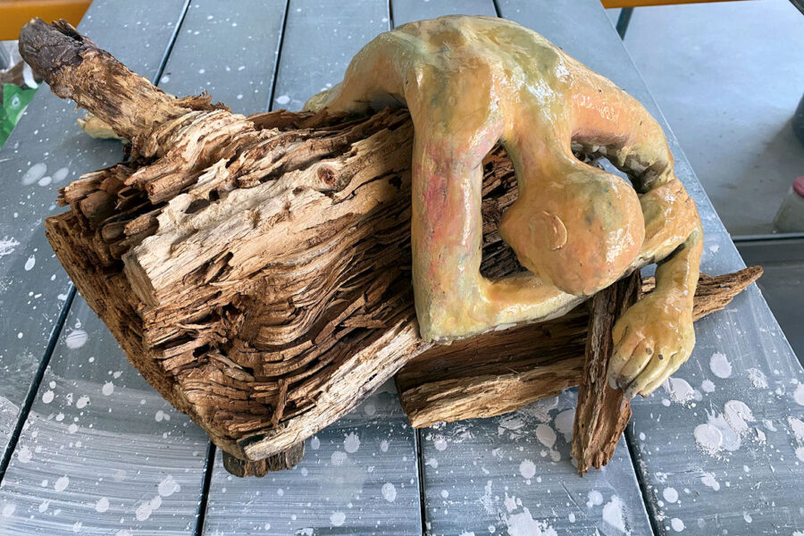 Simina Penu – Ensad Limoges